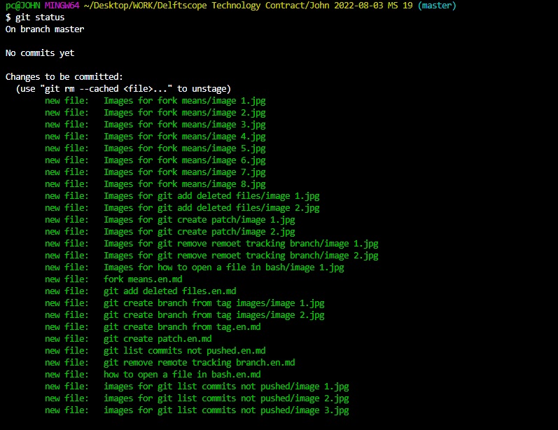 Make A Folder A Git Repo And Push To Remote Delft Stack